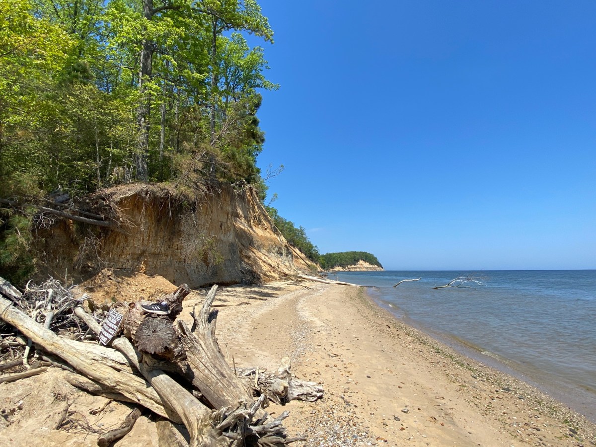 A Day Trip to Calvert Cliffs State Park, Maryland – Noelle Across The Pond